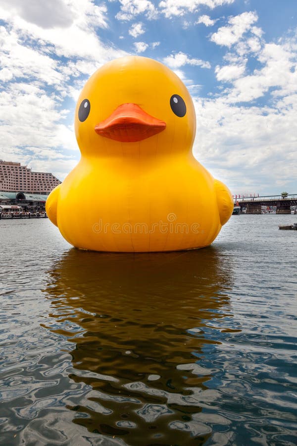 Giant duck stock photo. Image of toys, coast, ocean - 173766440