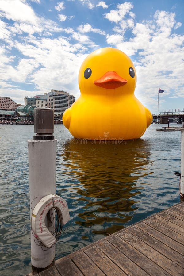 Giant duck editorial photography. Image of duck, harbor - 173766462