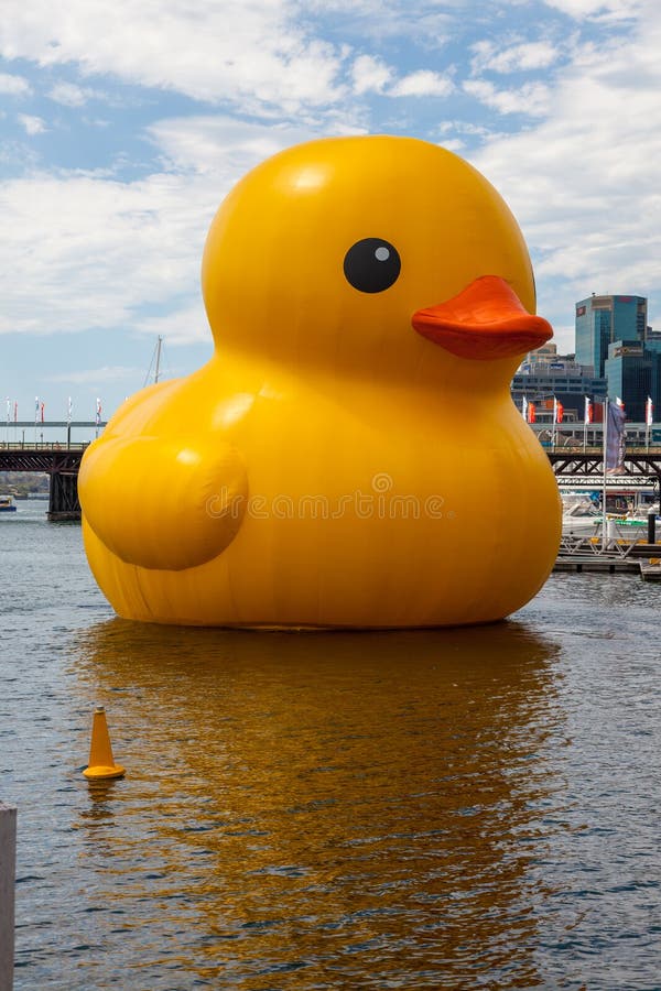Giant duck stock photo. Image of duckie, giant, bright - 173766502
