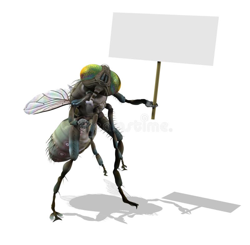 Giant Fly with Blank Sign stock illustration. Illustration of ...