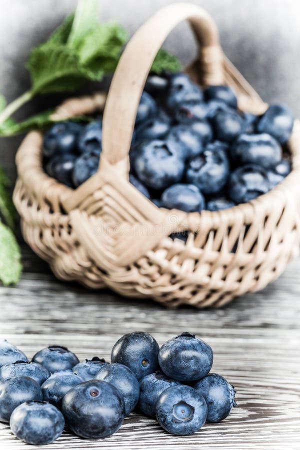 Giant blueberry - close up stock image. Image of fruit - 169963091