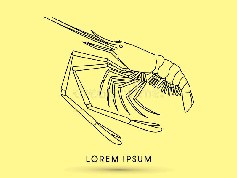 Giant freshwater prawn stock vector. Illustration of background - 87718030