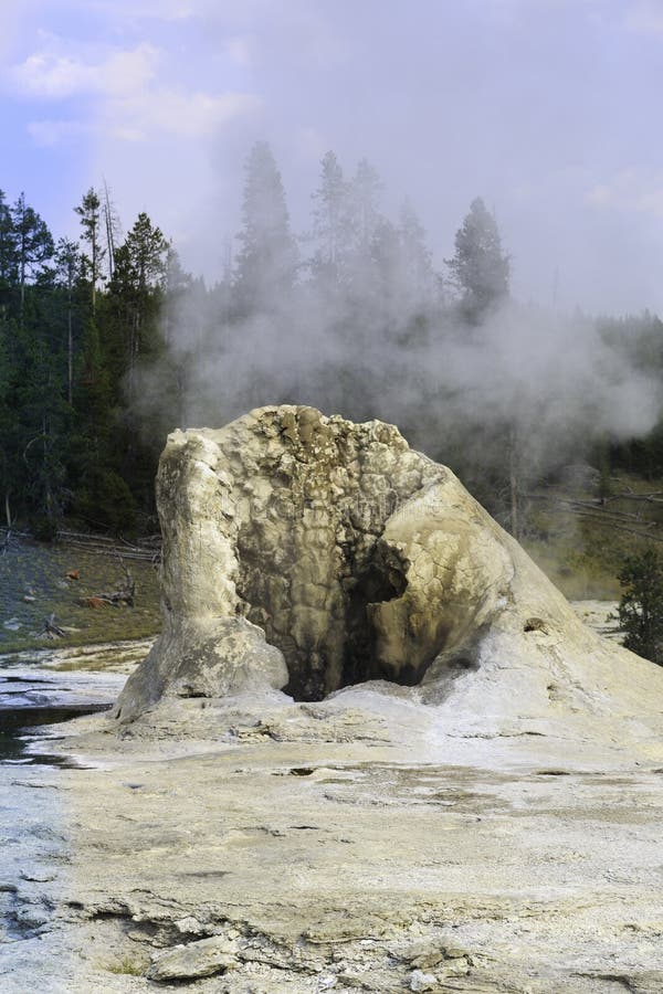 Giant Geyser in Yellowstone Stock Image - Image of forest, dormant ...