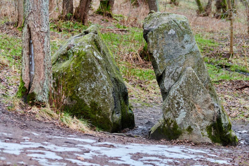 Giant Hemispherical Stone Split into Two Parts in Forest Stock Image ...