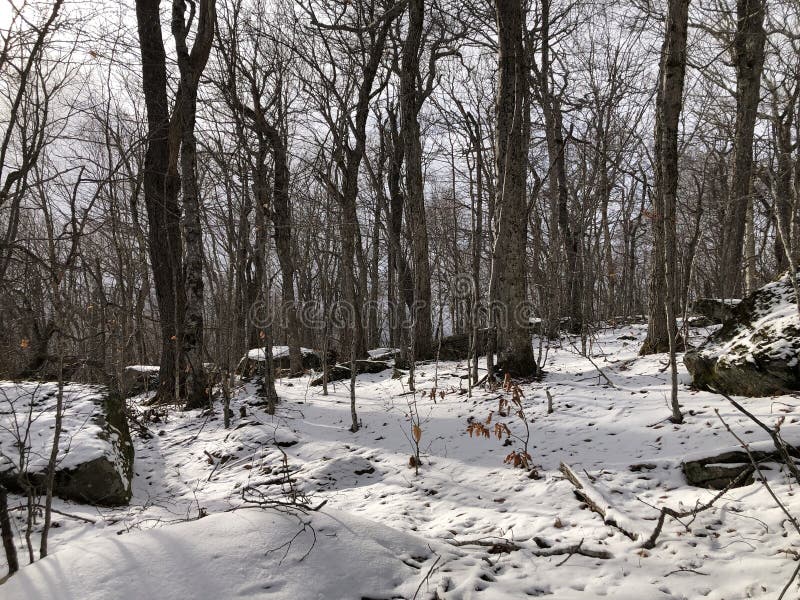 Giant Ledge in Snow in January in Catskill Mountains in New York State ...