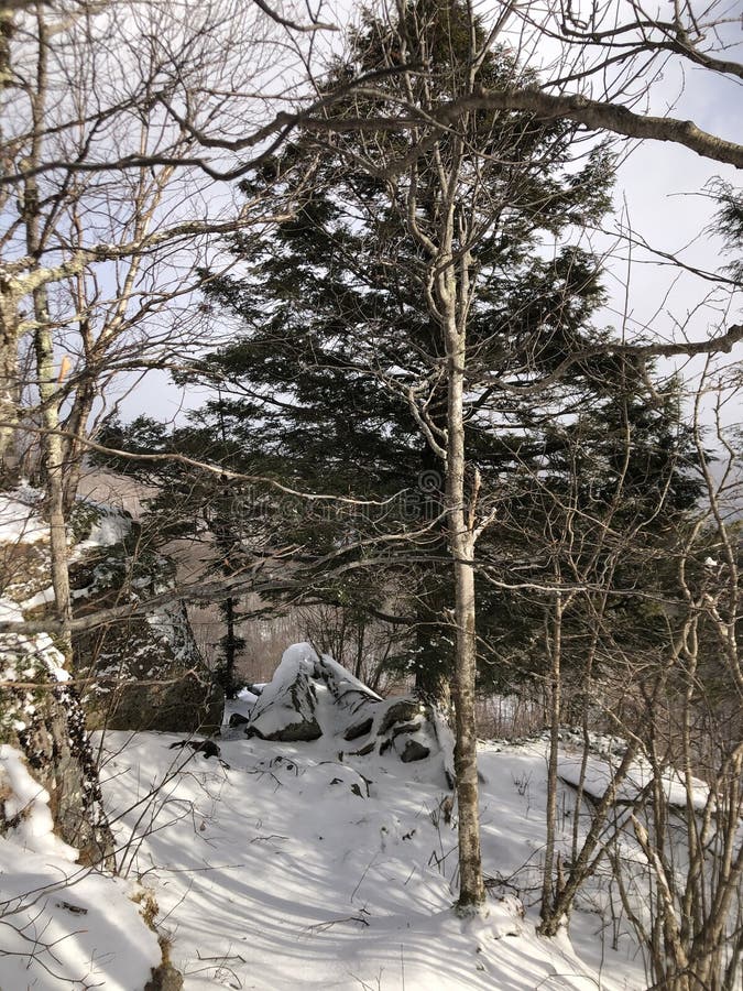 Giant Ledge in Snow in January in Catskill Mountains in New York State ...