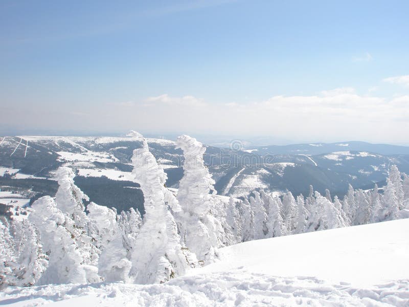 Quiet Winter Snowy Landscape Stock Photo - Image of coldish, drift ...