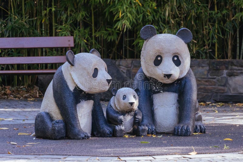 Giant Panda in Australia stock image. Image of endangered - 283859361