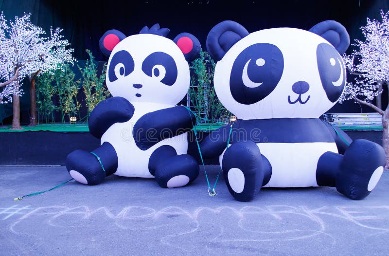 Giant Panda Balloons at the Night Market Stock Photo - Image of white ...