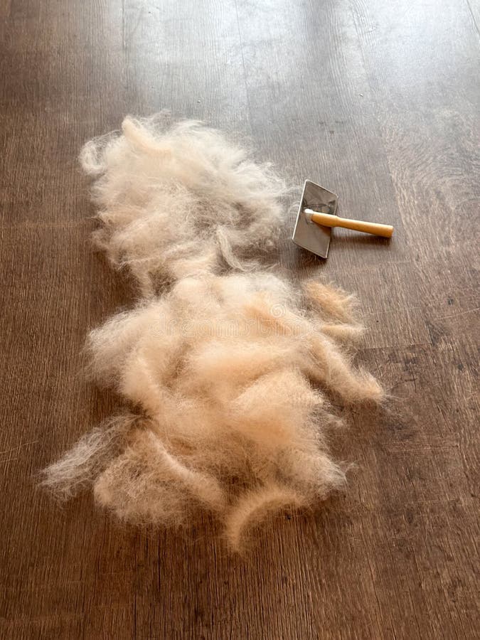 Giant Pile of Wool, Which Was Combed Out of a Pet and a Brush for ...