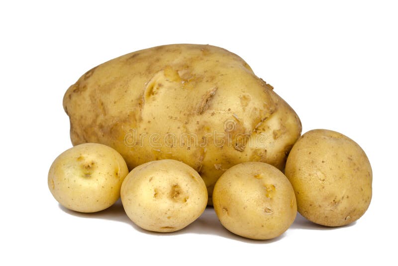 Potatoes stock image. Image of nutrition, vegetable, carbohydrate ...