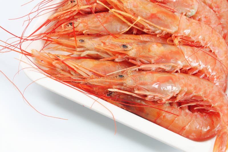 Giant prawns stock image. Image of ocean, fresh, closeup - 31610929