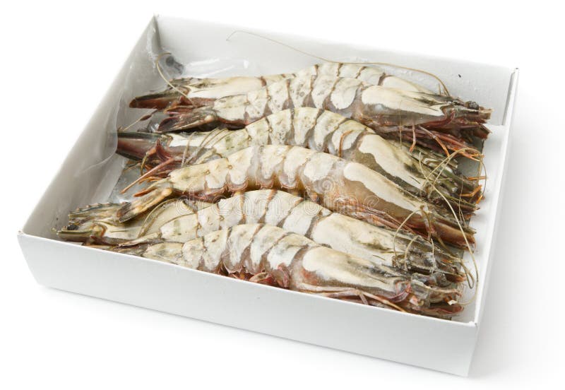 Giant Prawns in Retail Pack, Isolated on White Stock Photo - Image of ...
