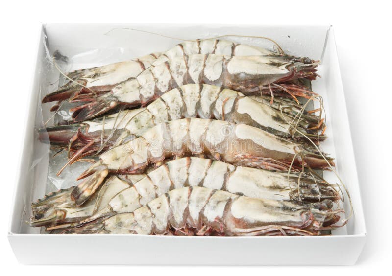 Frozen Prawn Pack Stock Photos - Free & Royalty-Free Stock Photos from ...
