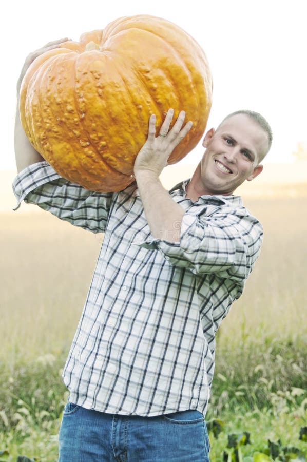 Giant pumpkin harvest stock image. Image of giant, garden - 43884333