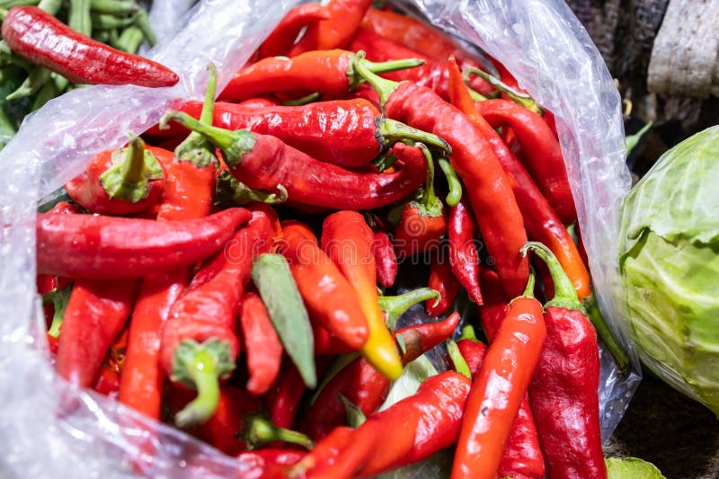 Giant Red Chilli Pepper at Vegetable Store for Sale at Evening Stock ...