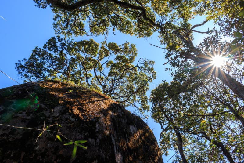 Giant Rock in the forest stock image. Image of heritage - 58580601