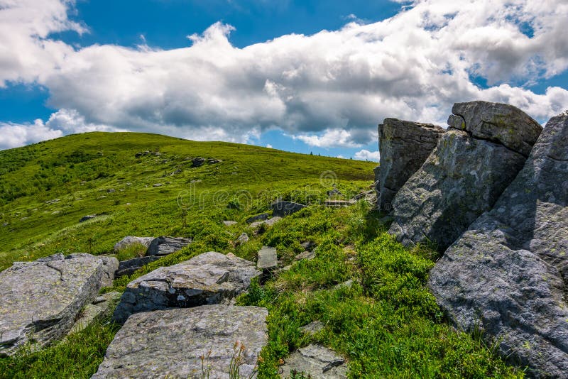 Rocks on a hill stock image. Image of wilderness, landscape - 113141333