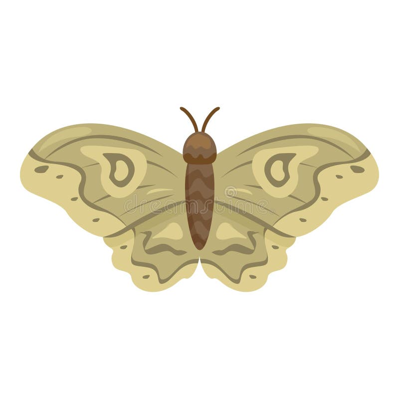 Giant Silk Moth Spreading Its Elegant Wings Stock Vector - Illustration ...