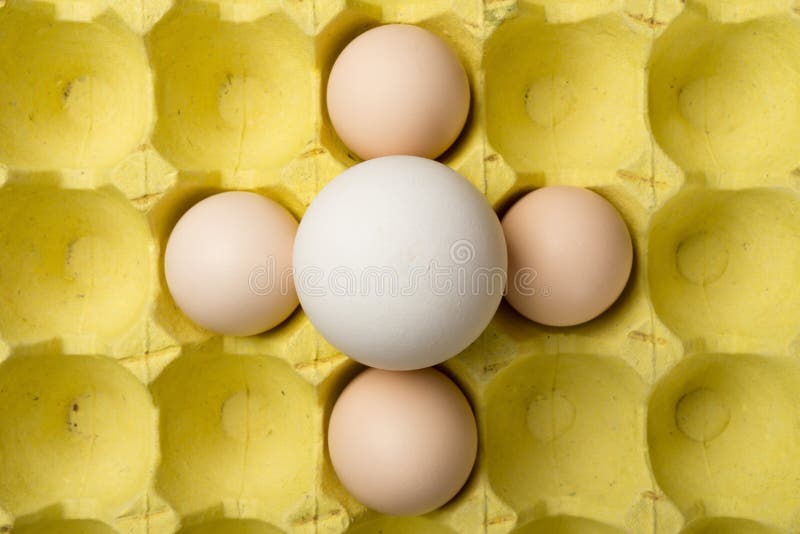 Giant Size Goose Egg between Small Chicken Eggs Stock Photo - Image of ...