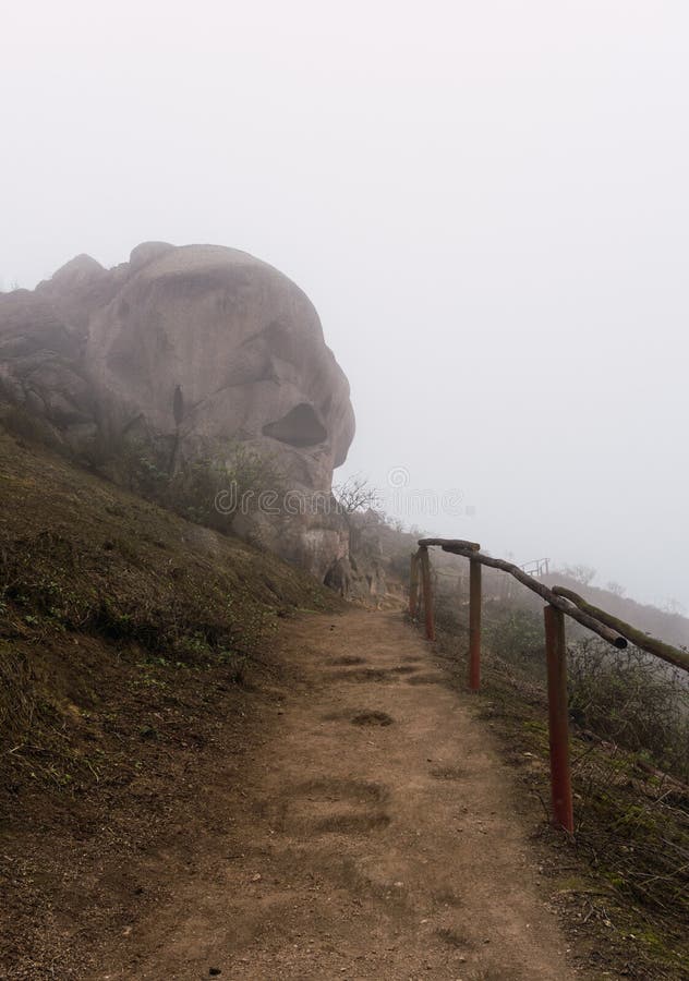 Skull Shaped Rock in a Pathway Inside Lomas De Lachay, Lima Peru Stock ...