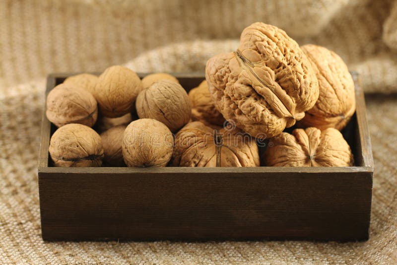 Giant Small Walnut Shell Stock Photos - Free & Royalty-Free Stock ...