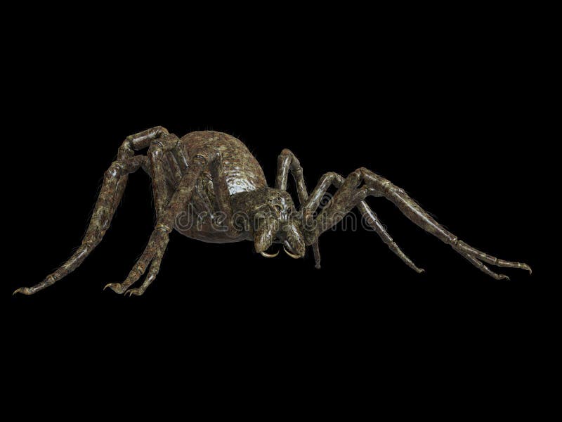 A giant spider stock illustration. Illustration of creature - 127839282