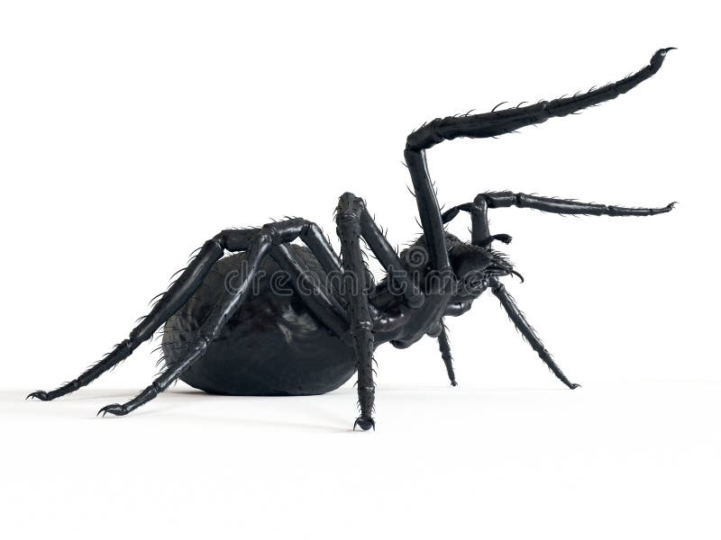 Giant Spider Illustration stock vector. Illustration of animal - 6483510