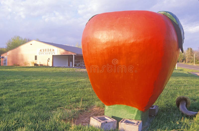 Giant Statue of a Ripe, Red Tomato in Field, WI Editorial Photo - Image ...
