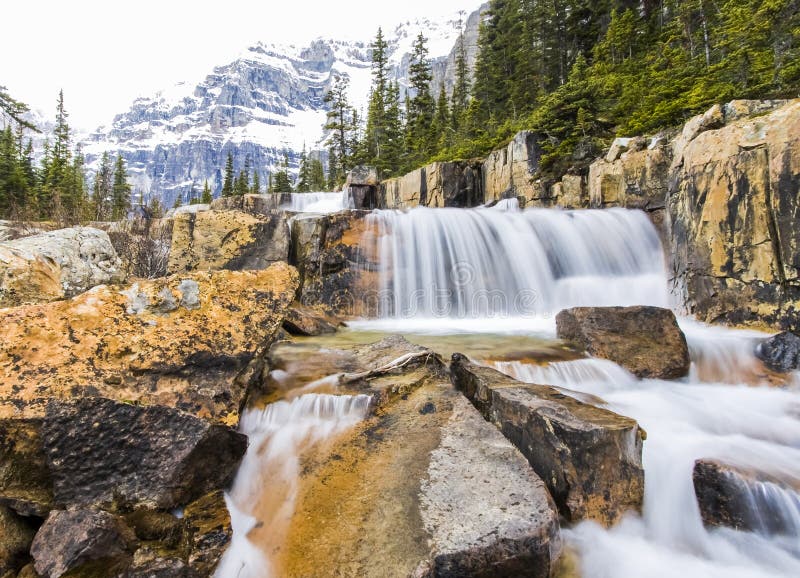 Giant Steps Waterfalls in Banff National Park Stock Image - Image of ...