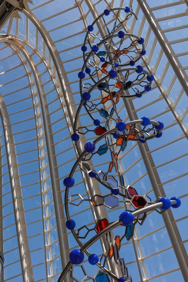 DNA Helical Structure stock illustration. Illustration of bases - 932211