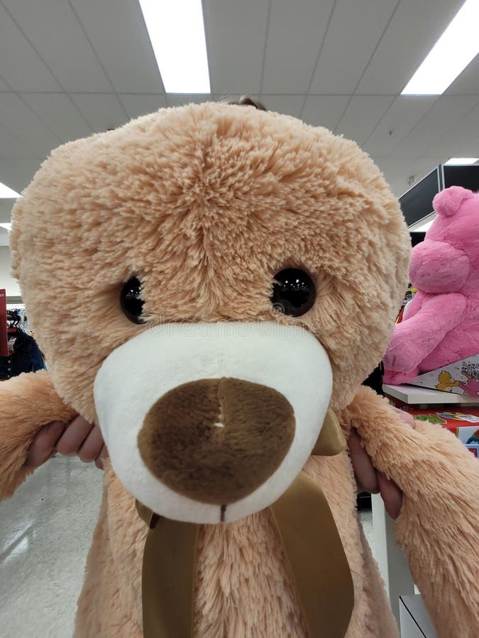 Giant stuffed teddy bear stock image. Image of stuffed - 292228887