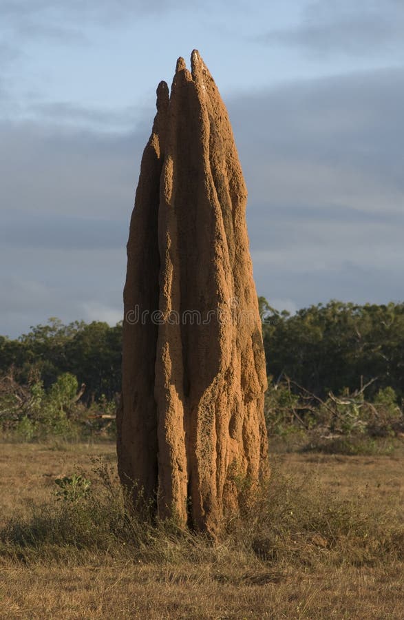 Giant termite mound stock photo. Image of outback, australia - 2910122