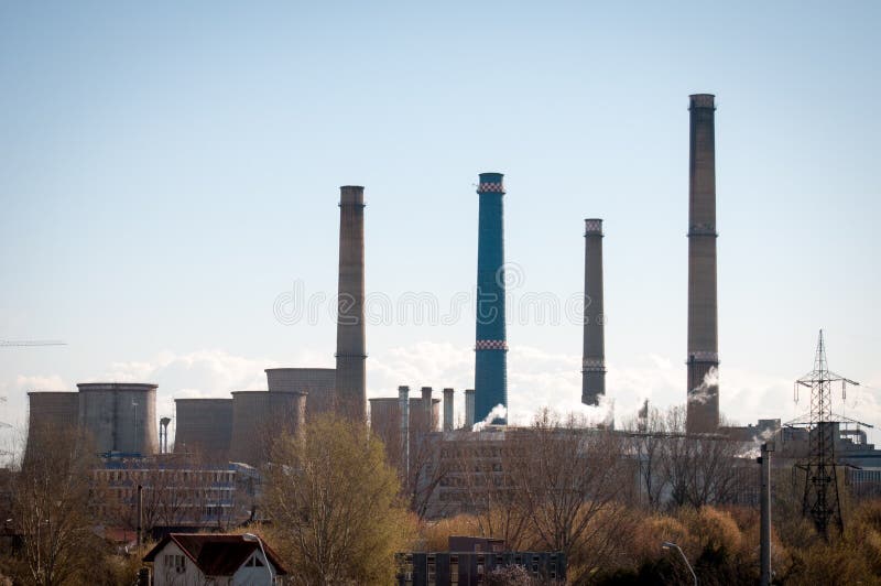 Giant thermo plant stock image. Image of plant, tall - 52739023
