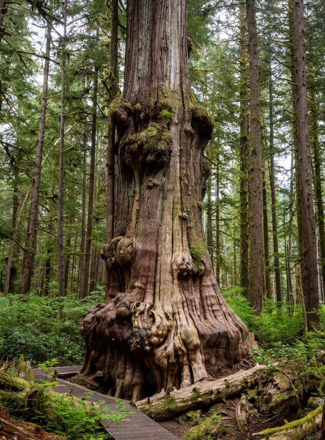 A Giant Tree Stands Tall in Lower Avatar Grove Stock Image - Image of ...