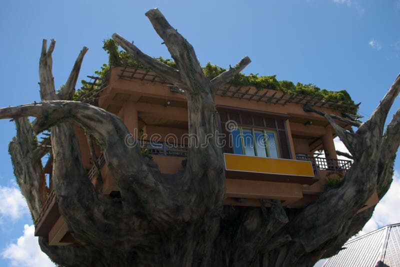 Giant Treehouse stock image. Image of house, high, playing - 1139833