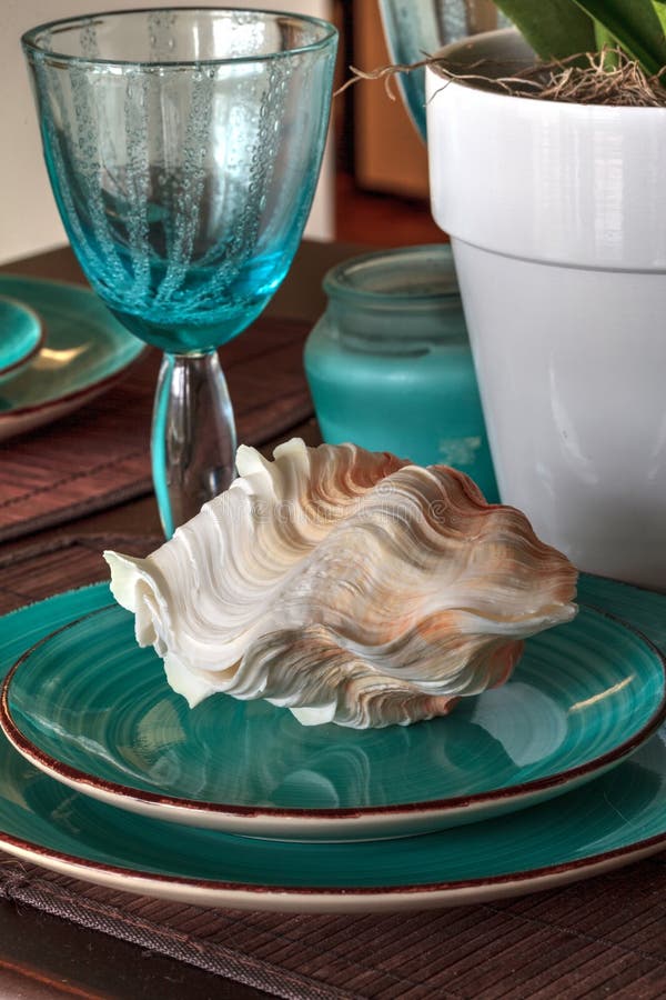 Giant Tridacna Squamosa Shell Stock Photo - Image of nature, texture ...