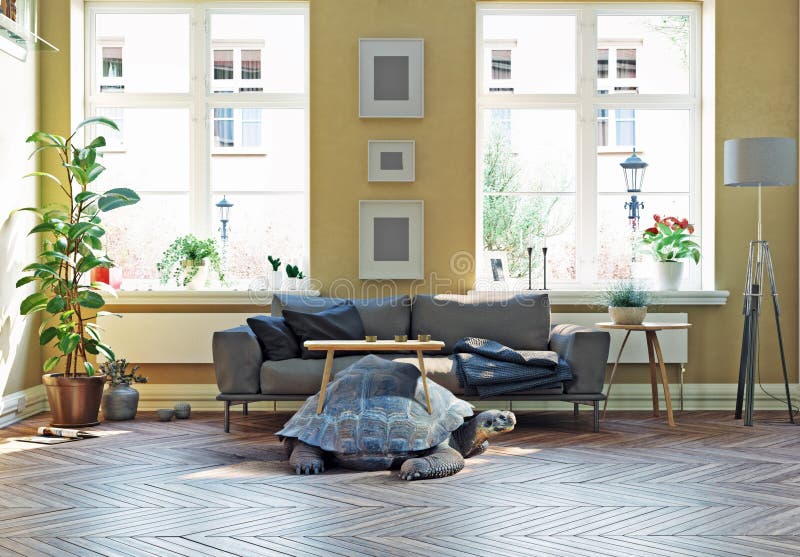 Giant Turtle As a Base of the Coffee Table. Stock Image - Image of view ...