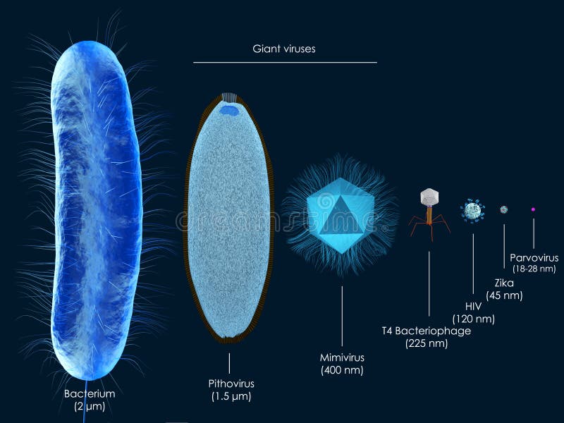 Giant viruses stock illustration. Illustration of mimivirus - 100455316
