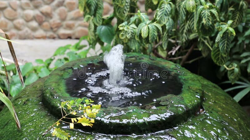 Giant Water Jar Fountain Green Algae Surface Stock Footage - Video of ...