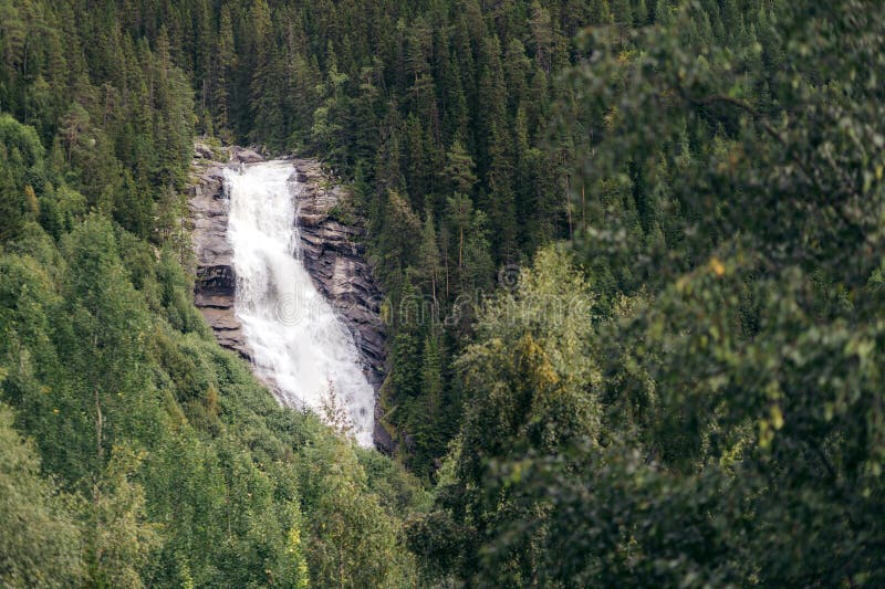 A Giant Waterfall in the Middle of Dense Norwegian Forest Stock Image ...