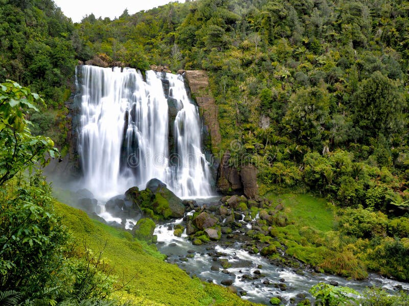 Giant Waterfalls between Trees Stock Image - Image of watercourse ...