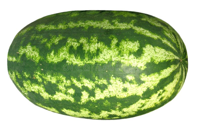 203 Giant Watermelon Stock Photos - Free & Royalty-Free Stock Photos ...
