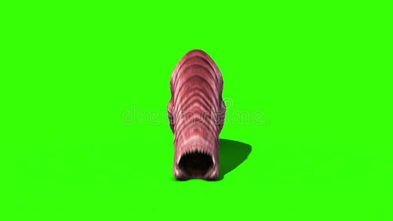 Giant Worm Monster Attacks Front Green Screen 3D Rendering Animation ...