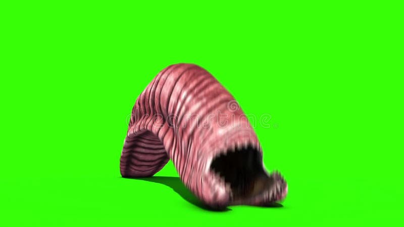 Giant Worm Monster Crawl Loop Side Green Screen 3D Rendering Animation ...