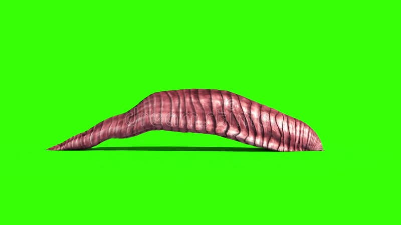 Giant Worm Monster Crawl Loop Side Green Screen 3D Rendering Animation ...