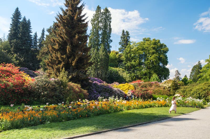 Giardini Del Castello Sull'isola Di Mainau Immagine Stock Editoriale ...