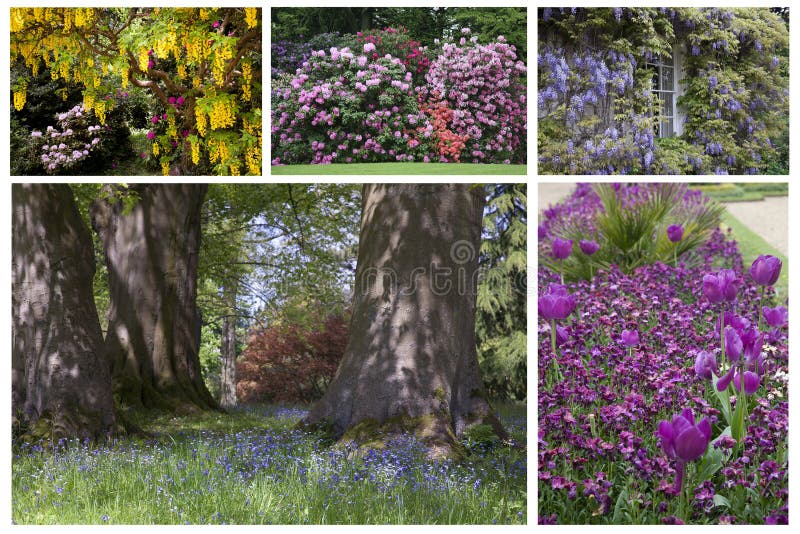 Giardini Inglesi in Primavera Immagine Stock - Immagine di erba ...