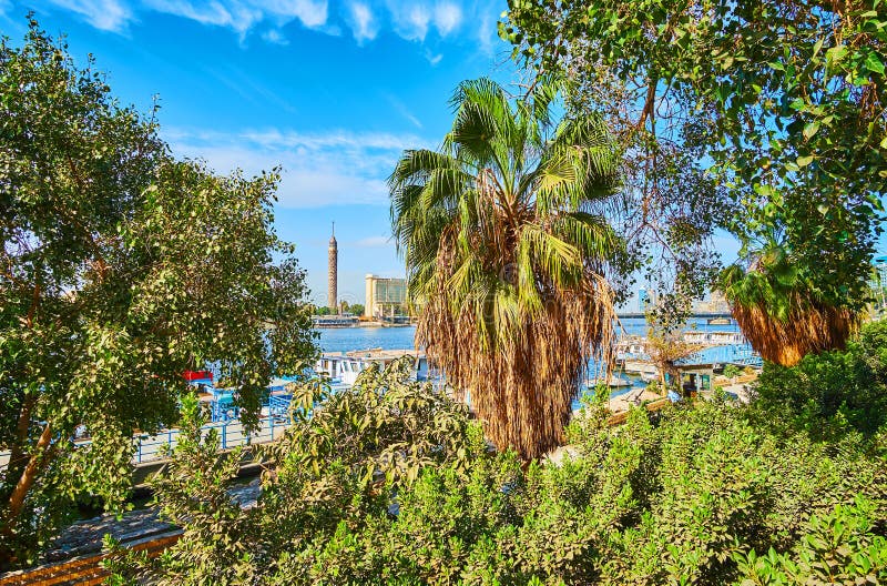 Giardini Sul Nilo, Il Cairo, Egitto Immagine Stock - Immagine di palma ...