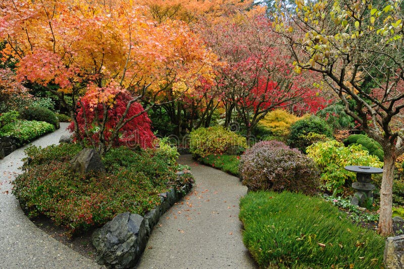 Giardino Del Giapponese Di Autunno Fotografia Stock - Immagine di ...